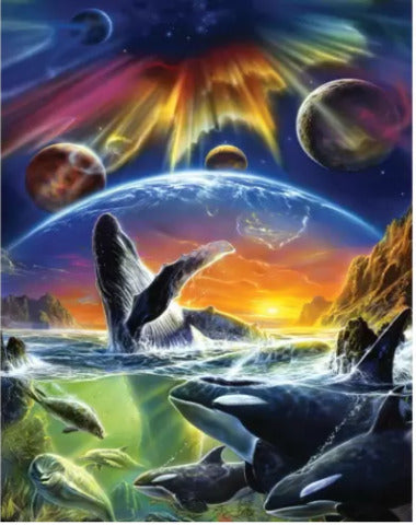 ORCA AURORA 500 PZ – LIBRERIA PARTHENON